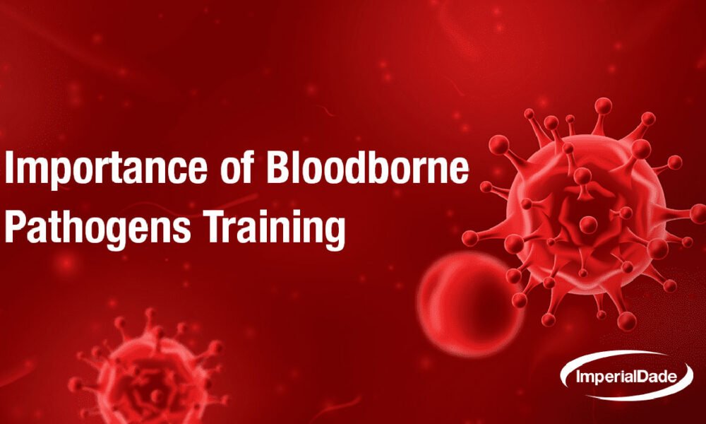Understanding the Importance of Bloodborne Pathogen Training - Looper ...